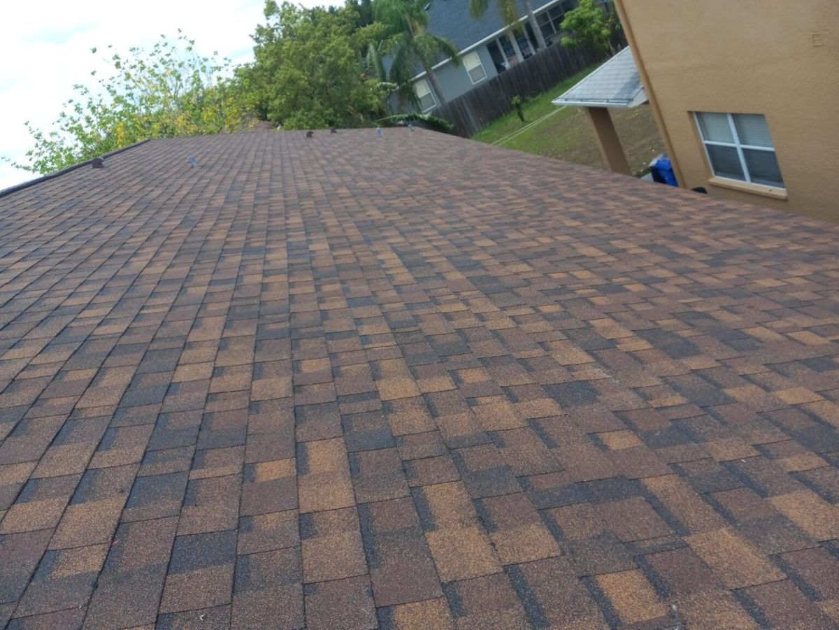 Roofing Company in Tampa, FL